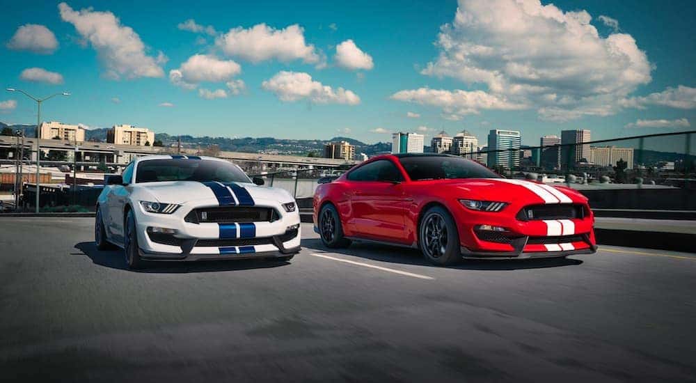 How to Get an Affordable Car Perfect for Big Apple Driving