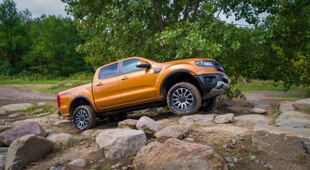 What’s Ford Bringing to the Table in 2019? | Auto Dealer in Albany