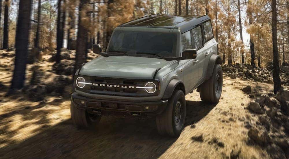 Walk On the Wild Side with the Ford Bronco Wildtrak | SUV Sales