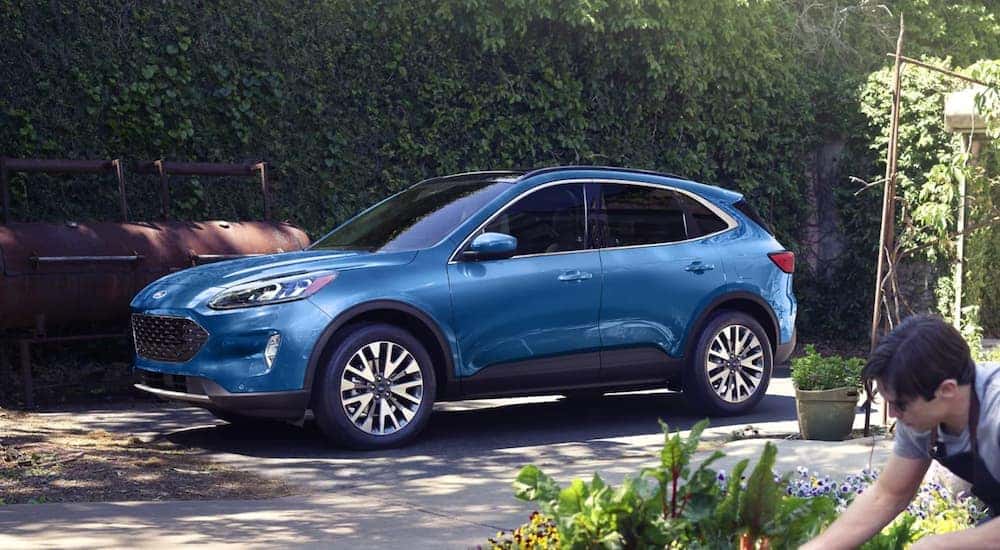 More Than the Mach-E: Ford’s Compelling Hybrid Vehicles for Sale