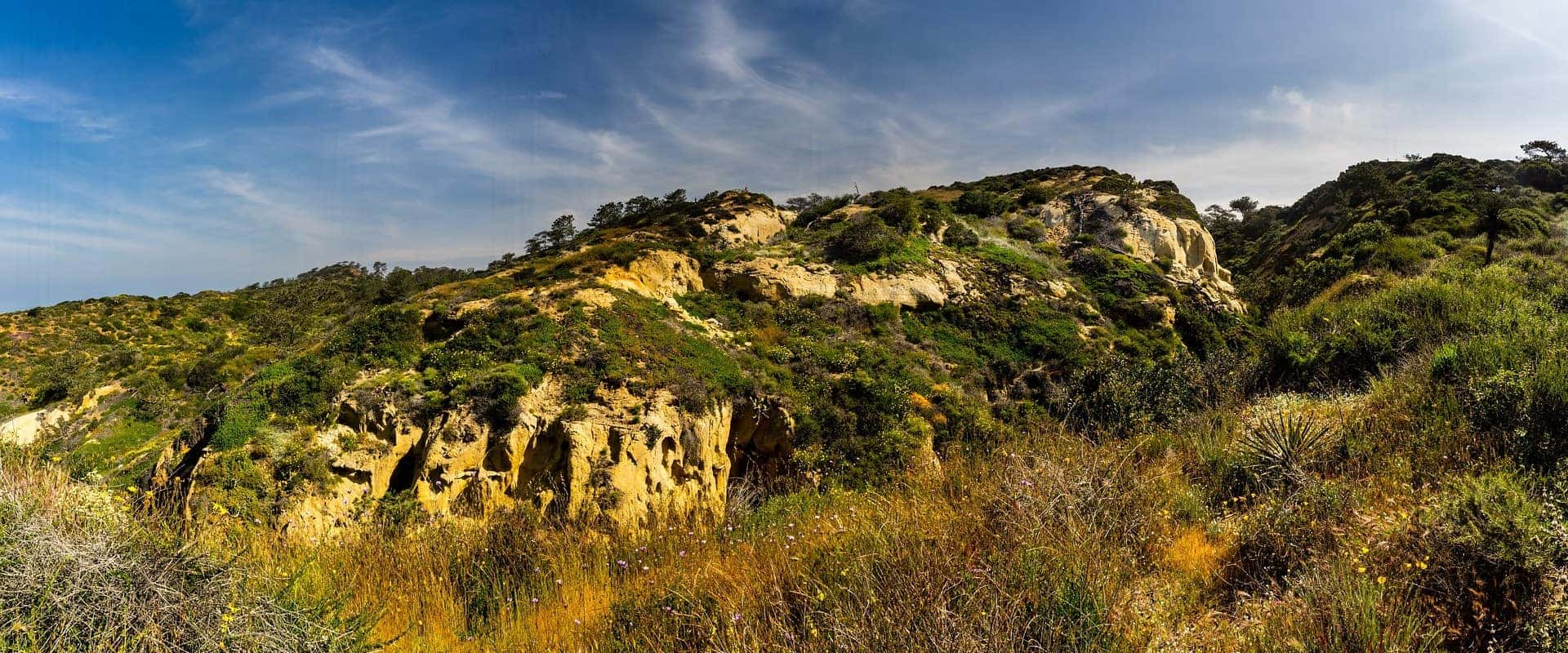 Top Hiking Trails With Ocean Views in North County