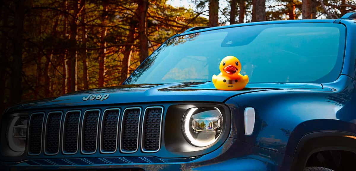 Duck Duck Jeep: The Ultimate Guide to Jeep Ducking | Hollywood Chrysler ...