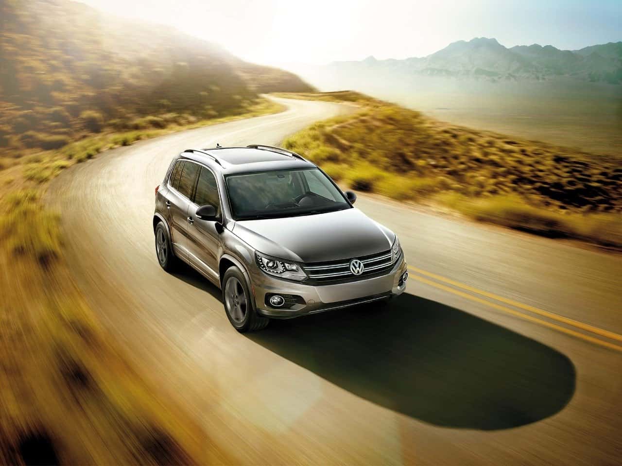 A Volkswagen Drivers and Dogs will Love | McDonald Volkswagen