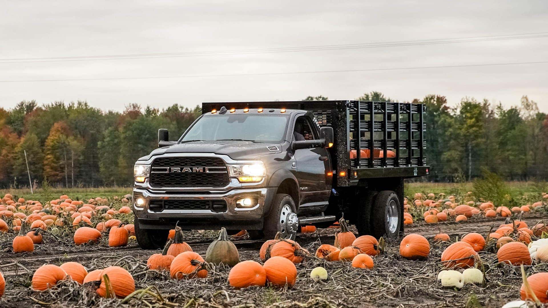 Halloween Activities in Little Rock | Landers CDJR